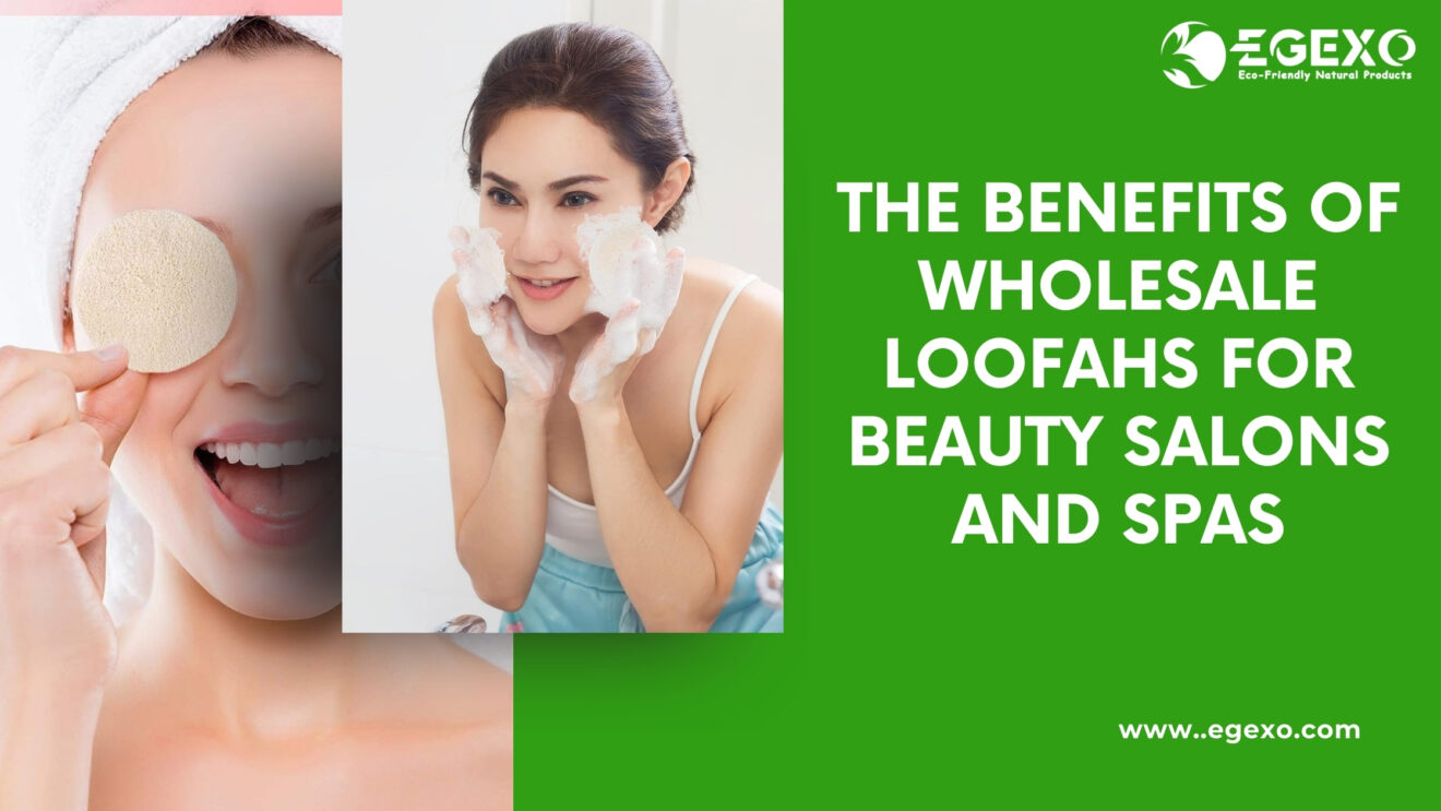 The Benefits of Wholesale Loofahs for Beauty Salons and Spas - EGEXO