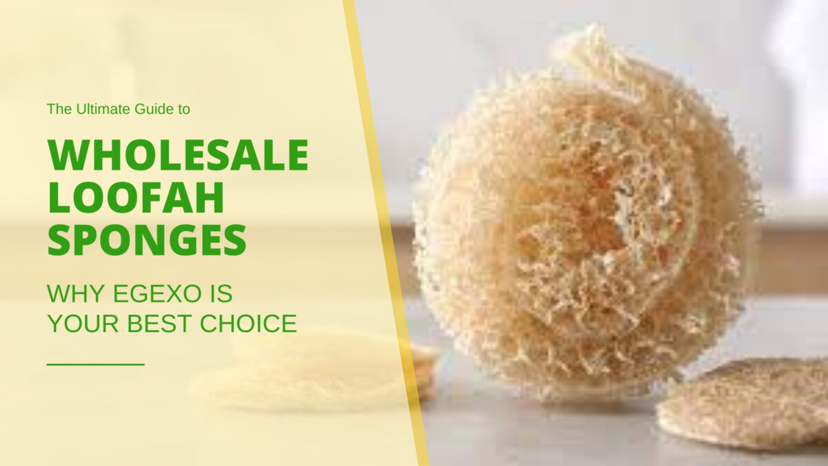 Ultimate Guide to Wholesale Loofah : Why EGEXO is Your Choice