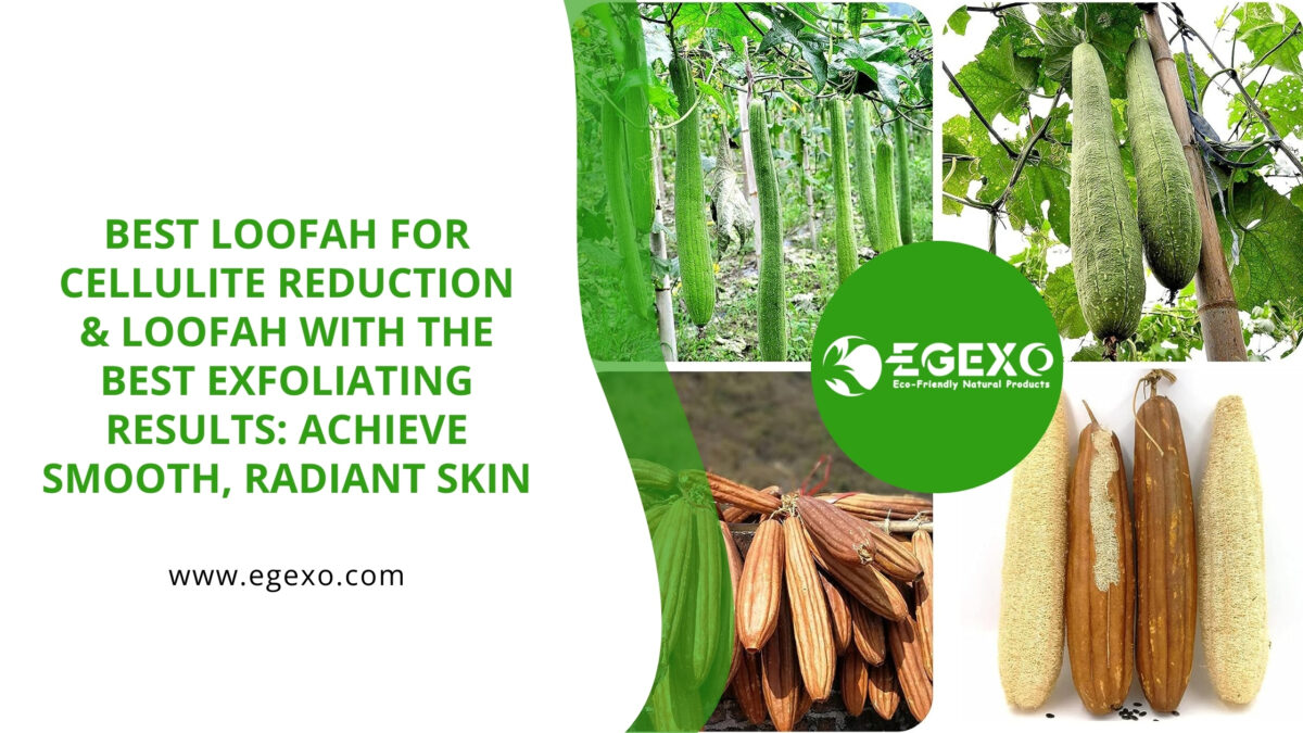 Best Loofah for Cellulite Reduction with Best Exfoliating Results