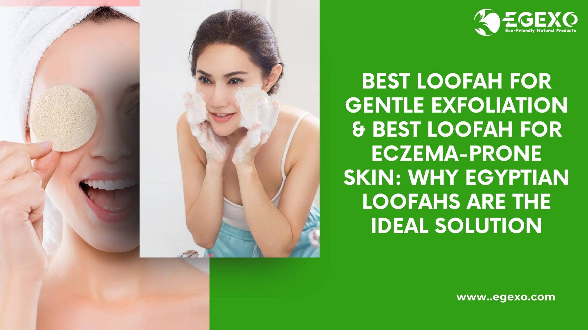 Egyptian Natural Loofah | Luffa Sponges Wholesale Supplier | EGEXO