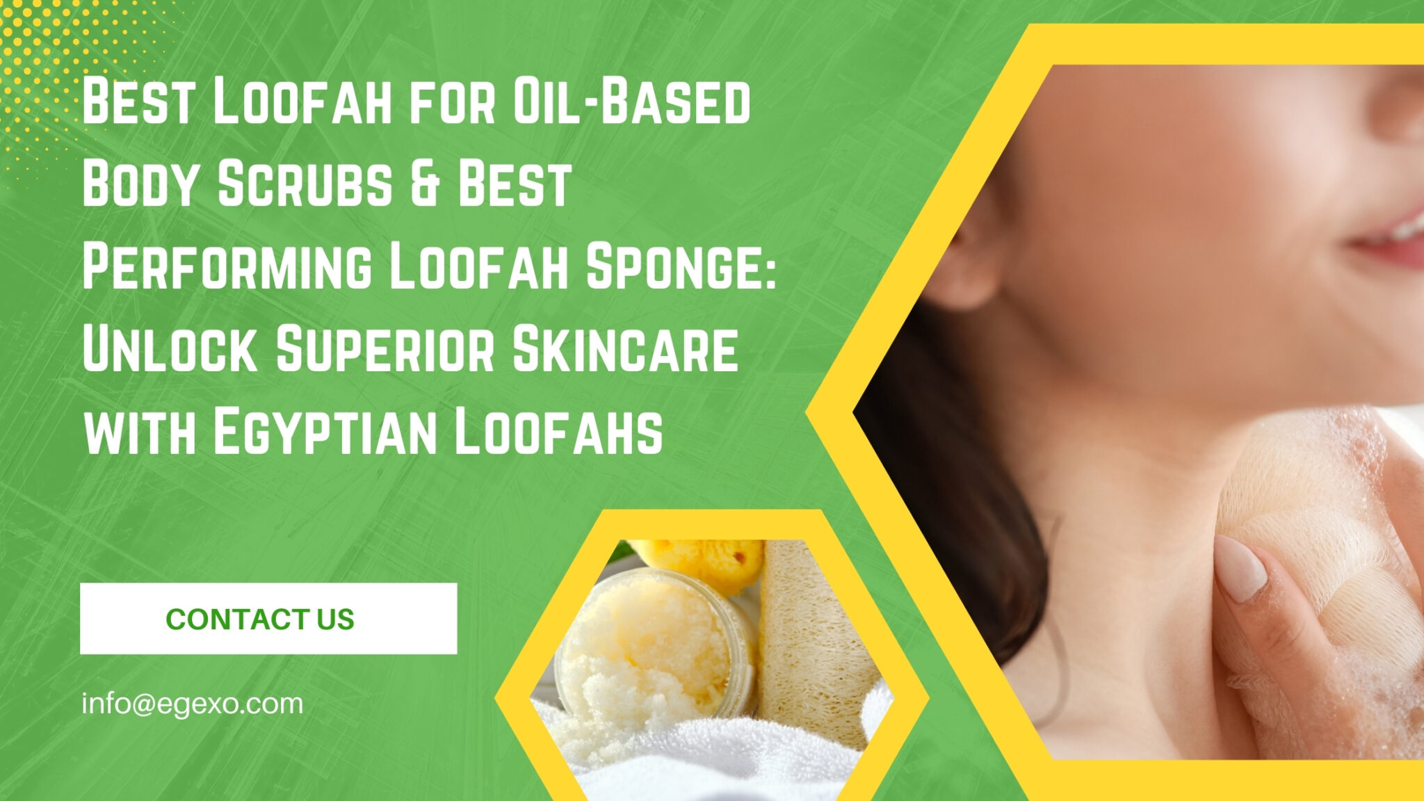 Egyptian Natural Loofah | Luffa Sponges Wholesale Supplier | EGEXO