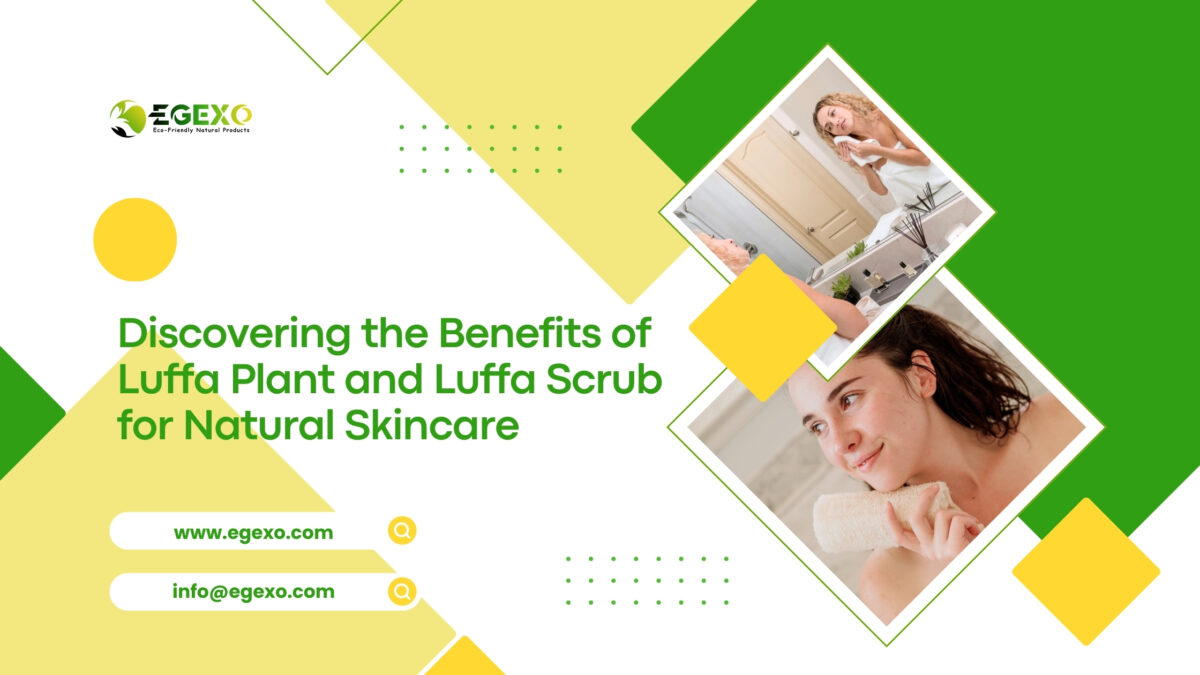 Benefits of Luffa Plant & Scrub for Natural Skincare | EGEXO