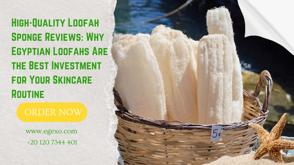 High-Quality Loofah Sponge | EGEXO Natural Exfoliation