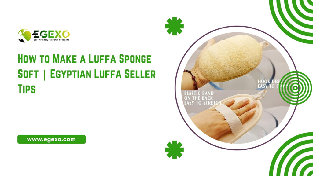 How to Make Luffa Sponge Soft | Sensitive Skin Guide | EGEXO