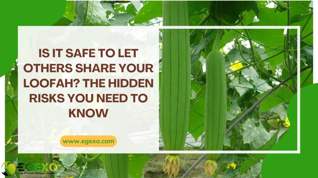 Is It Safe to Share Your Loofah? Complete Safety Guide