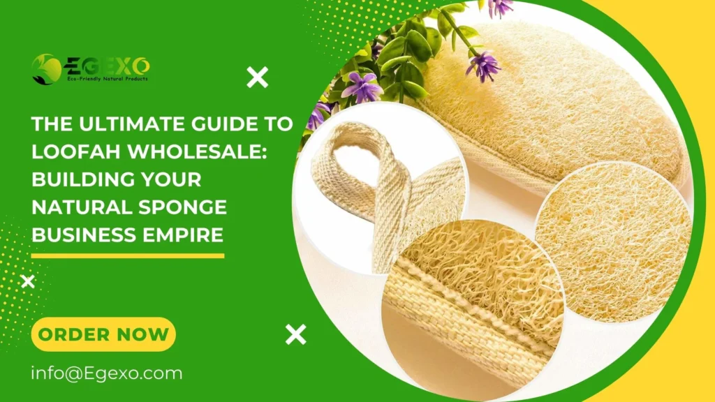 Loofah Wholesale Guide: Start Your Natural Sponge Business